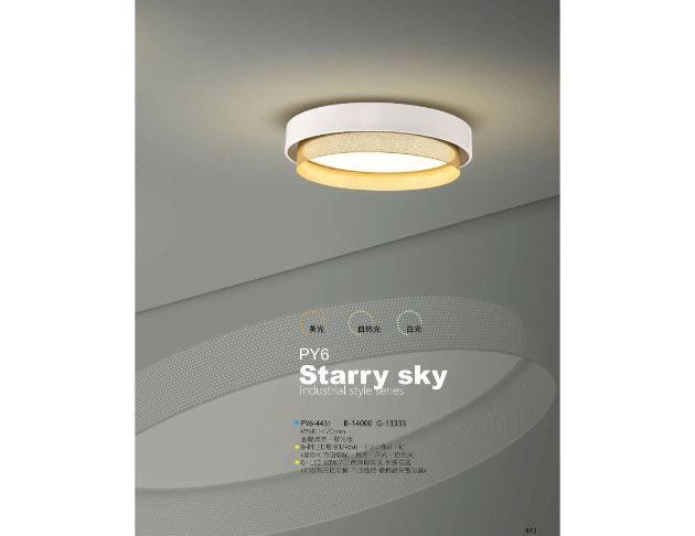 PY6-NO.443 | 橋式照明工程有限公司