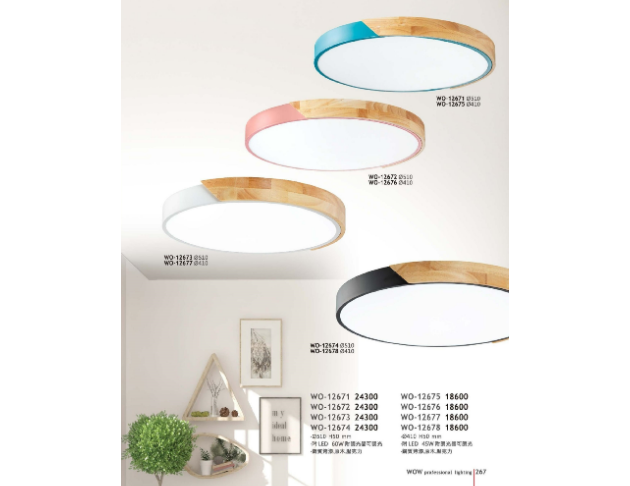 WOW-NO.267 | 橋式照明工程有限公司